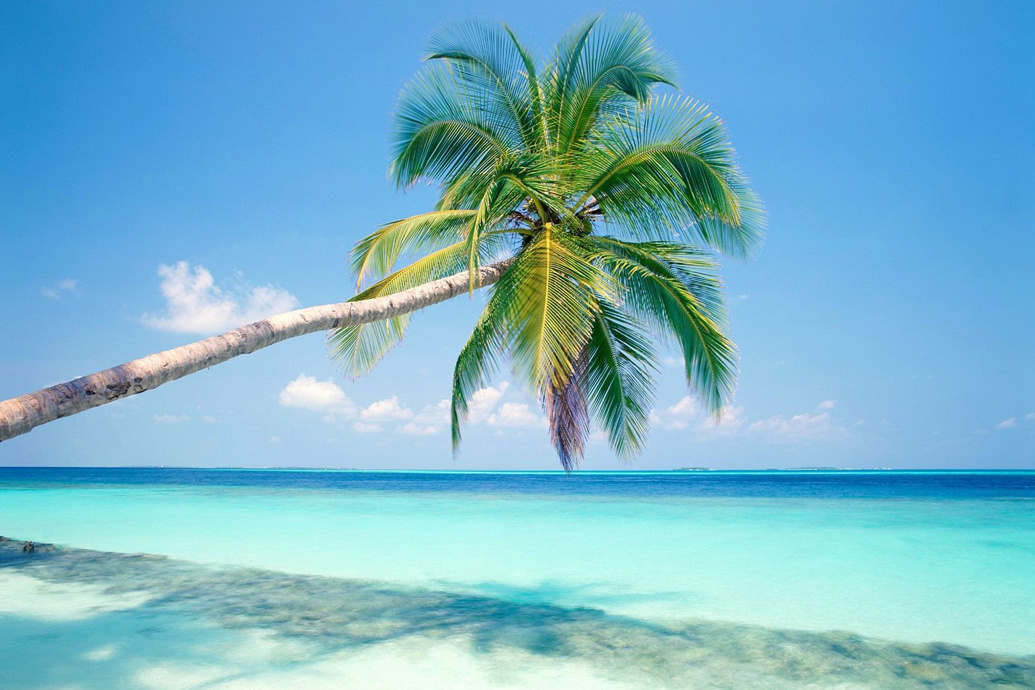 Christmas Island Info For A Travel Find Fellow Travelers With Triplook Christmas Island Info For A Travel Find Fellow Travelers With Triplook